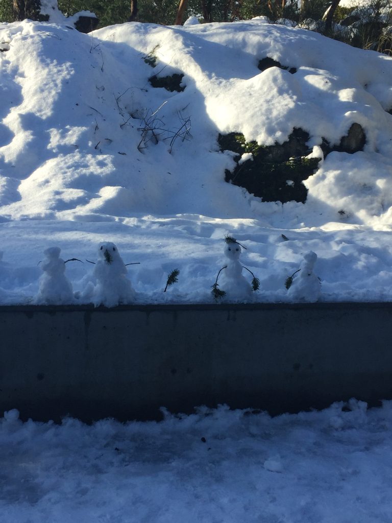 Crystal View | Elementary School | Page 8